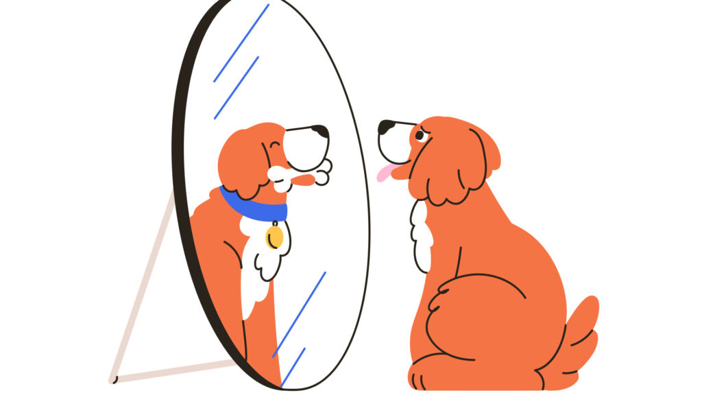 El perro y su reflejo – Viviendo Por la Fe